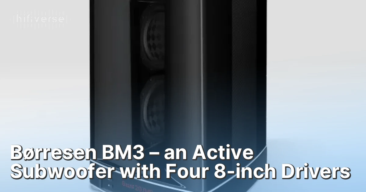 Børresen BM3 – an Active Subwoofer with Four 8-inch Drivers - Hifiverse